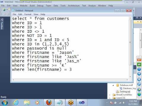 SQL (Structured Query Language) – Programski jezici