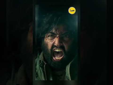 Fighter Movie Budget | Hrithik Roshan Fees & All Star Cast Fees