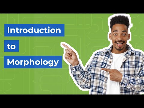 Morphology Demystified: Understanding Word Formation