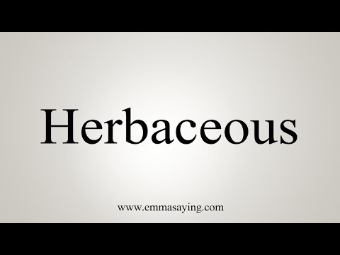 How To Say Herbaceous