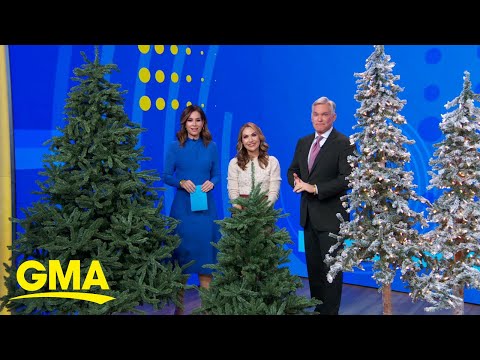 'The Right Stuff' spotlights artificial Christmas trees