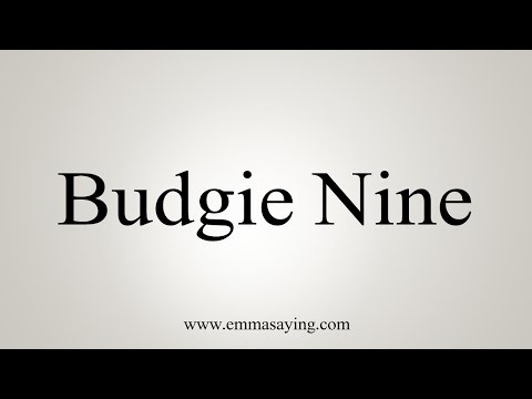 How to Pronounce Budgie Nine