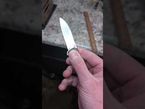 The Otter is Great #tools #edc #youtubeshorts