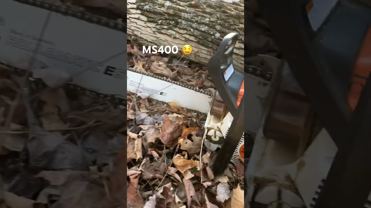 Ugly Muff Mod #stihl #chainsaw #tree #arborist #wood