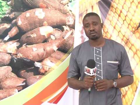 FG To Create 490,000 Jobs Through Smart Farmer Scheme
