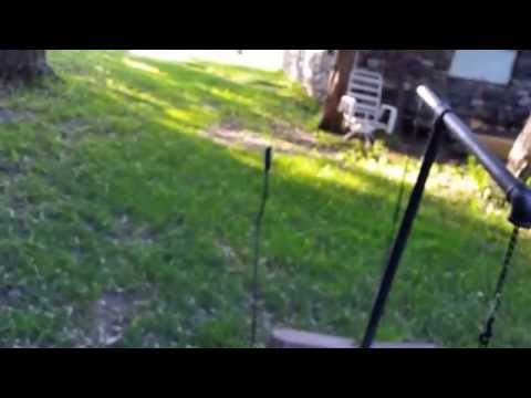 Wild Edibles Episode 4 Cattail and Milkweed Shoots (With a Fried Walleye Dinner)