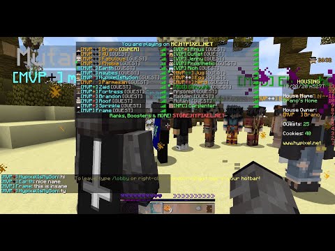 Big OG Account Line Up on Hypixel