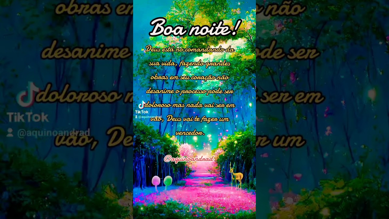 Boa noite! Deus abençoe sua noite. Amém! #frases #boanoiteee