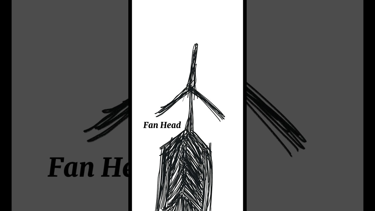 Drawing AI suggested Siren Head subspecies #oc #fanmade #sirenhead #creepypasta #characters