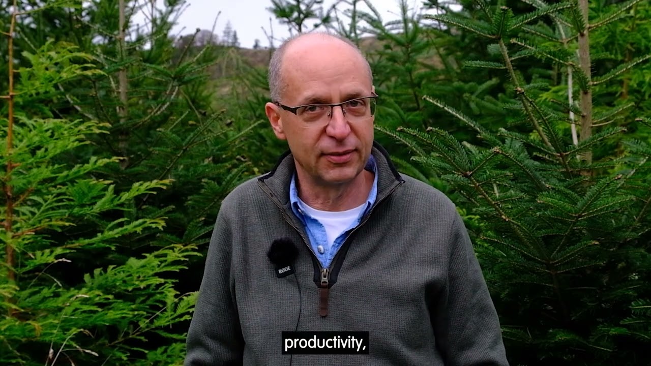 Using Productive Tree Species To Diversify UK Woodlands