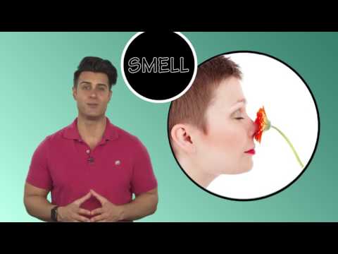 Everyday Grammar: Linking Verbs