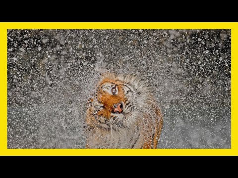 Our World, The Visual Village – WeMoveTogether