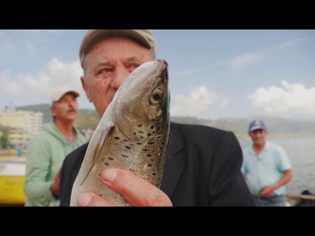 Pollution Lake Ohrid, Albania: Causes, Consequences, and Solutions