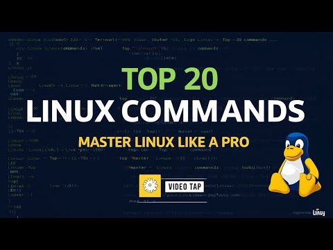 Mastering Linux: Top 20 Essential Linux Commands
