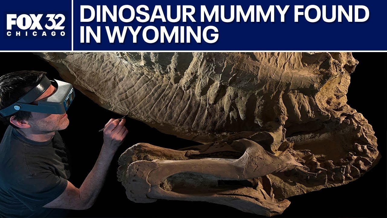 Dinosaur mummy discovery reveals new secrets of prehistoric life