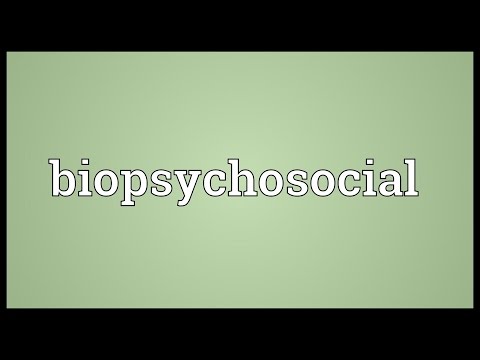 Biopsychosocial Meaning