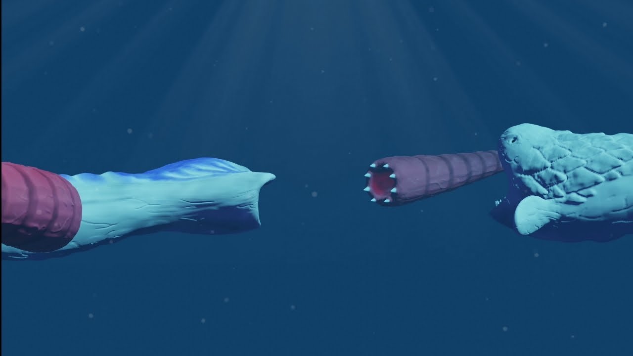 Bloop, El gran maja vs worm, new evolution
