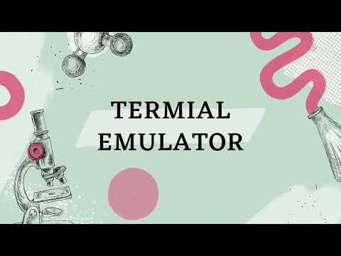Terminal Emulator definition