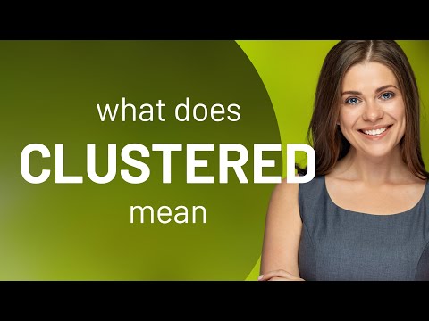 Clustered • what is CLUSTERED meaning