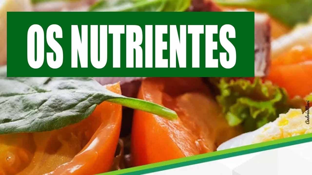 Understanding Nutrients: Types, Functions, and Examples | Galaxy.ai