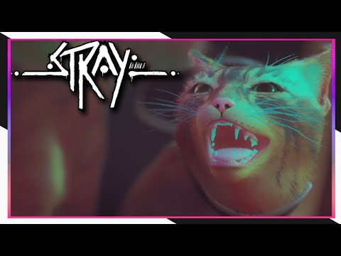 Steam Community :: Video :: Chapter 10 - Midtown | Stray