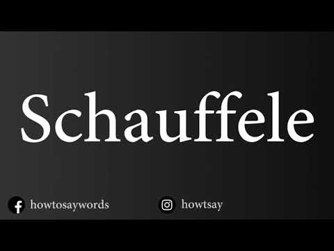 How To Pronounce Schauffele