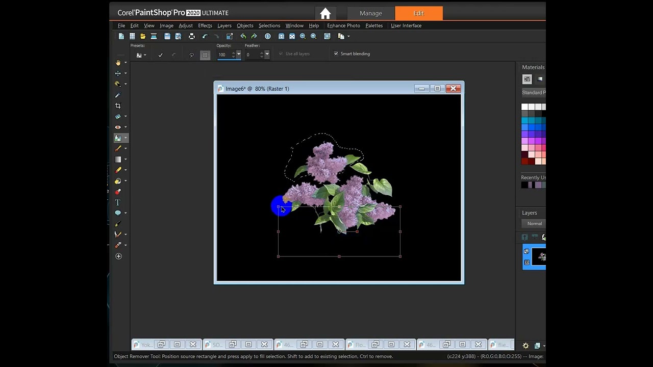 How to Use Object Removal Tool