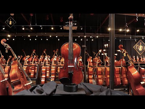 Core Select CS1000 Violin | Reverb