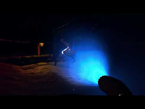 Yuleman/scp:4666 trailer (coming soon)