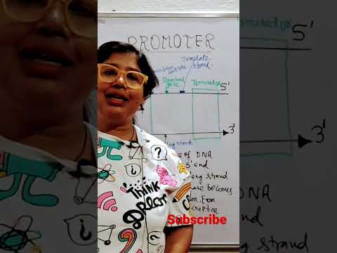 #PROMOTER #INITIATIONSITEFORTRANSCRIPTION #YTSHORTS