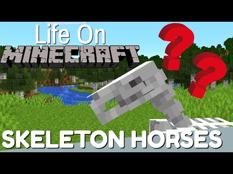 Minecraft: All About the Skeleton Horse | Life on Minecraft (Avomance 2019)