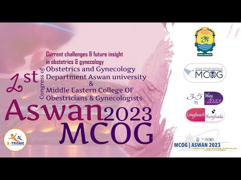 Prof. Abdou Saeed - Uterine arteriovenous malformations
