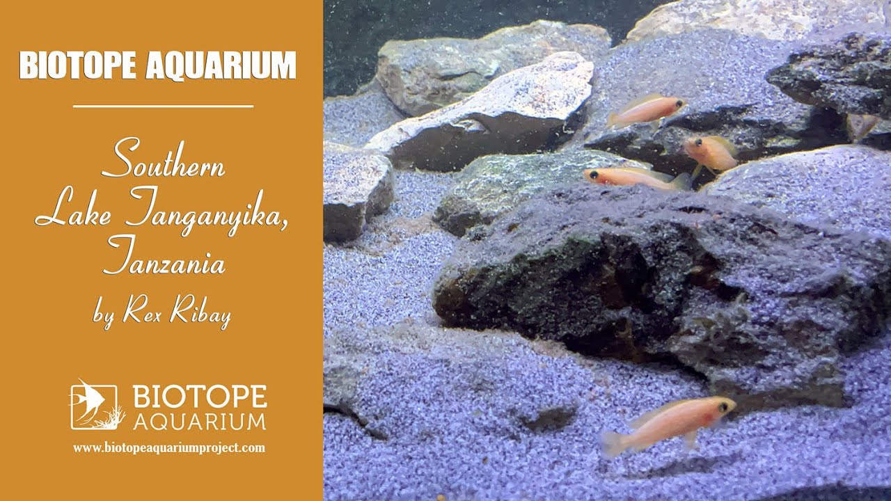 Southern Lake Tanganyika, Tanzania – BAP