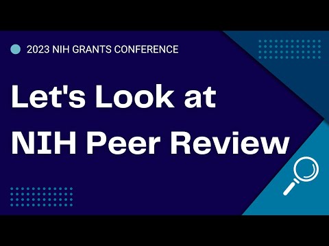 Let's Look at NIH Peer Review