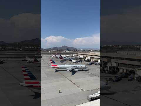 American Airlines at gate. Phoenix Sky Harbor Planespotting. #planespoting #airplane #airportlife