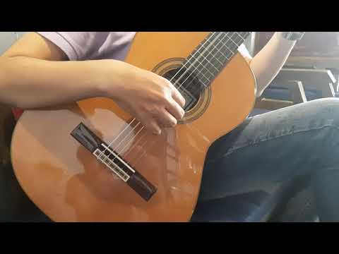 Manuel Raimundo 150 especial | Reverb