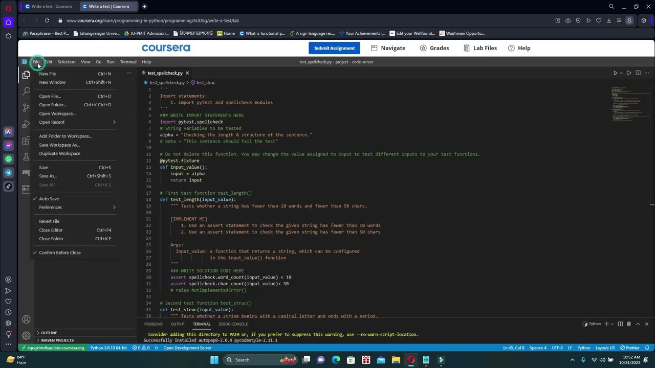 Programming Assignment: Write a test Coursera | Programming in Python