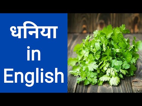 Dhaniya ko english me kya kahte hai | dhaniya in english | Shabdkosh Dictionary