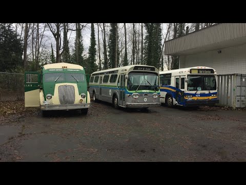 TMS buses 1937 - 1996