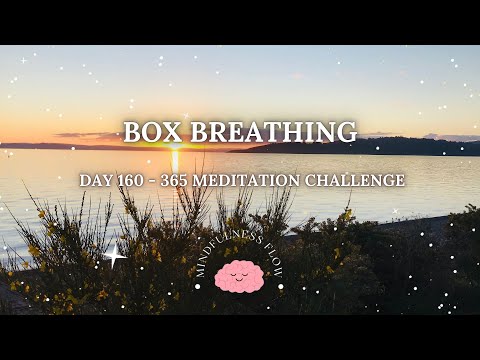 365 Days Meditation Challenge | Day 160 - Box Breathing for Calm & Focus
