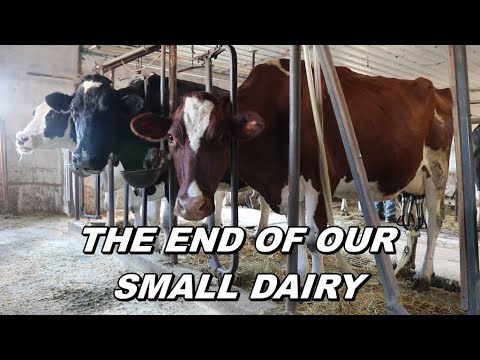 The End Of The Small Dairy Farm After Over 60 Years!