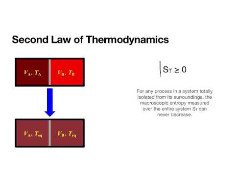 Physical Meaning of Entropy