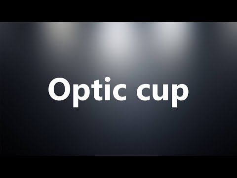 Optic cup - Medical Definition