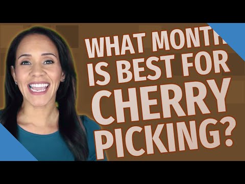 What month is best for cherry picking?