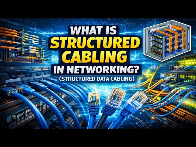 Cable Installation - Lan Structured Cabling Solutions Service Provider from New Delhi