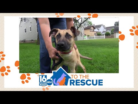 16 To The Rescue: Leeloo