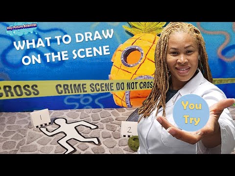 How to Sketch a Crime Scene | Beginner Forensic Sketches