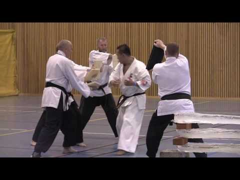 Master Kim Yong Geol Martial Arts Demonstration