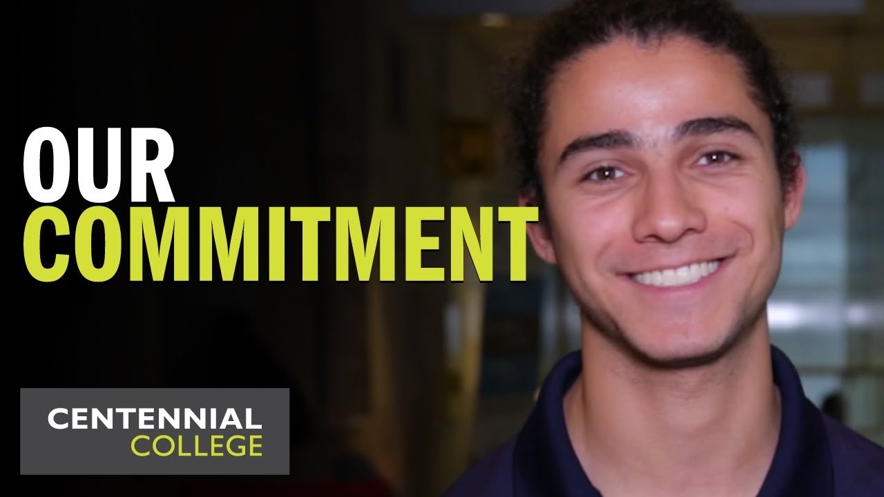 Our Book of Commitments