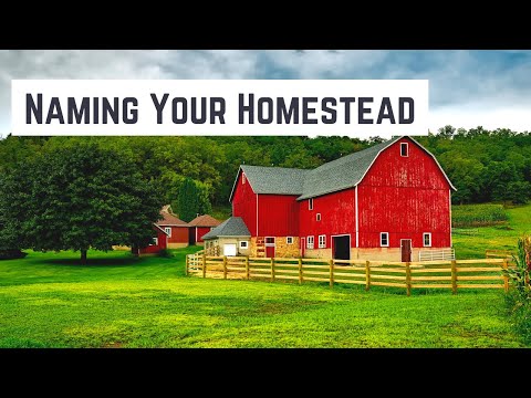 How to Come Up With A Creative Business Name for Your Homestead or Small Farm